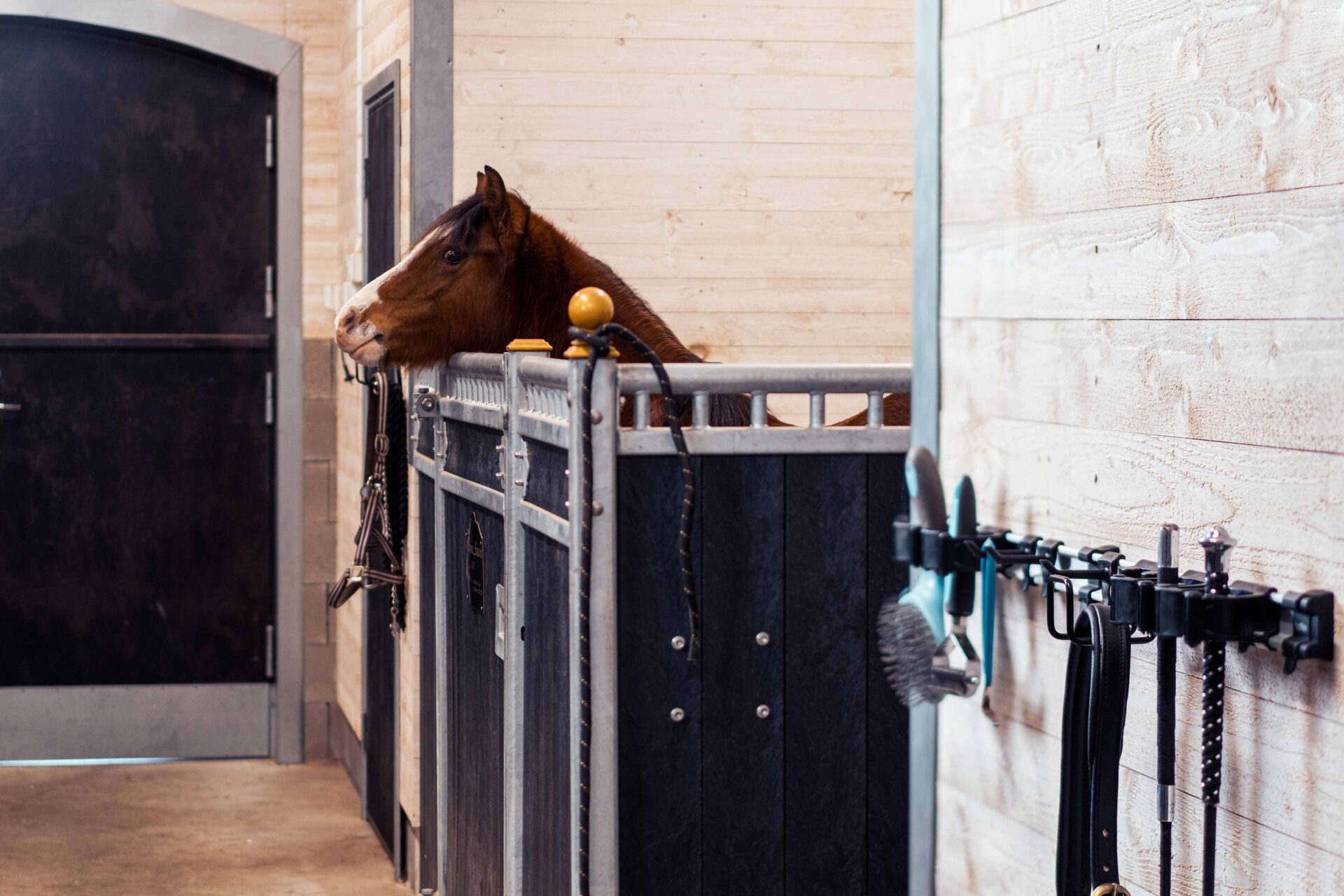 Stable – Toolflex
